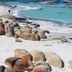 Hobart: 4 Day Wild Tasmania Tour - Discovering Tasmania’s Natural Wonders