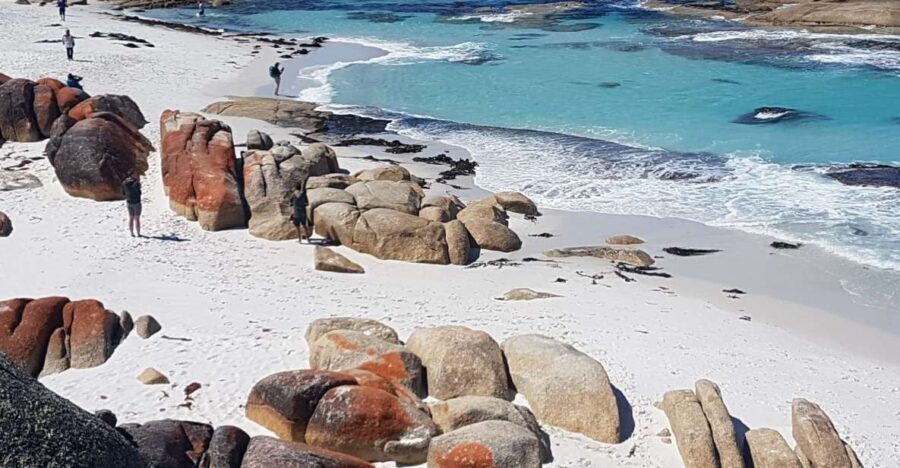Hobart: 4 Day Wild Tasmania Tour - Discovering Tasmania’s Natural Wonders