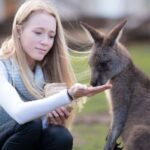 Hobart: Admission Ticket to Bonorong Wildlife Sanctuary - What You Can Expect During Your Visit