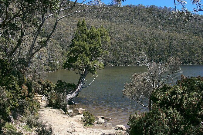 Hobart Adventurer Day Tour | Amazing Views & Native Wildlife - A Complete Look at the Hobart Adventurer Day Tour