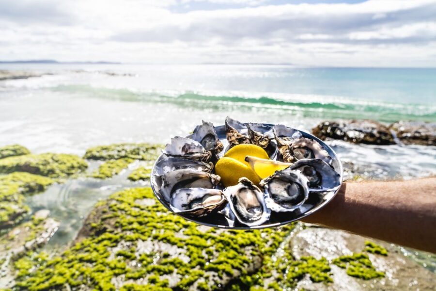 Hobart: Bruny Island Tour with Hotel Lunch & Lighthouse Tour - The Value of This Tour