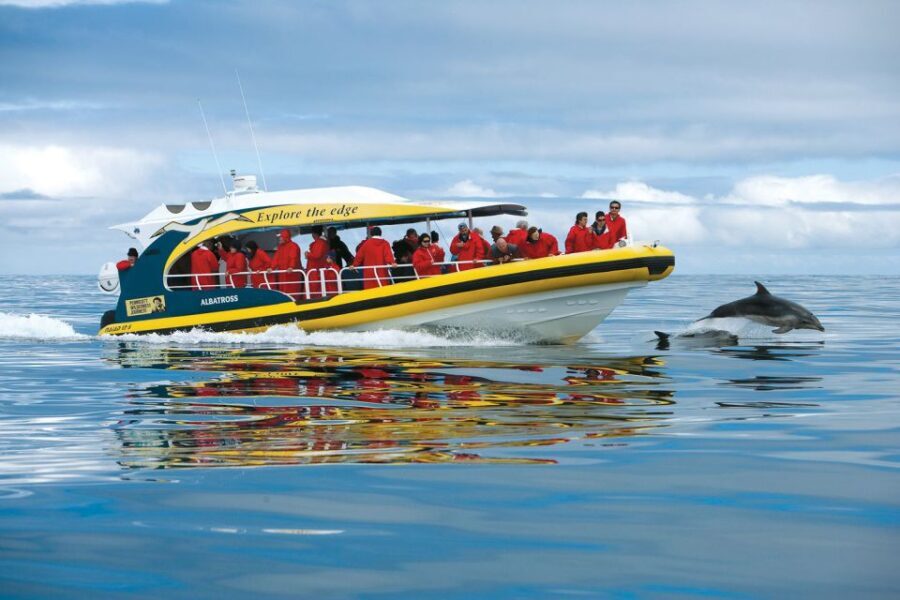 Hobart: Bruny Island Wilderness Coast Eco Cruise with Lunch - Who Should Consider This Tour?