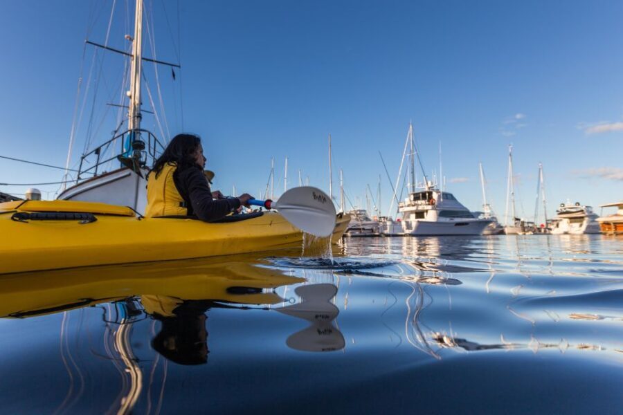 Hobart City 2.5-Hour Kayak Tour - The Practicalities: Equipment, Safety, and Comfort