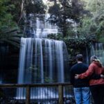 Hobart Cruise Ship Tour Mt Field National Park and Wildlife - Who Should Book This Tour?
