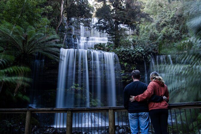 Hobart Cruise Ship Tour Mt Field National Park and Wildlife - Who Should Book This Tour?