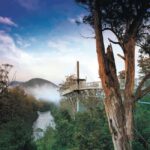 Hobart: Hastings Cave, Tahune Airwalk and Huon Tasting Trail - Authentic Feedback from Travelers