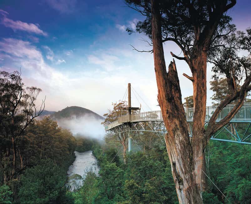 Hobart: Hastings Cave, Tahune Airwalk and Huon Tasting Trail - Authentic Feedback from Travelers
