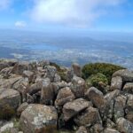 Hobart Highlights and Mount Wellington Shore Excursion - Detailed Breakdown of the Tour Experience