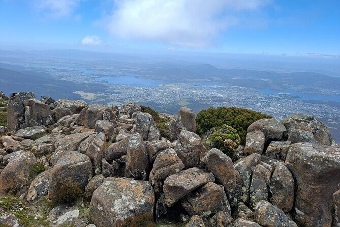 Hobart Highlights and Mount Wellington Shore Excursion - Detailed Breakdown of the Tour Experience
