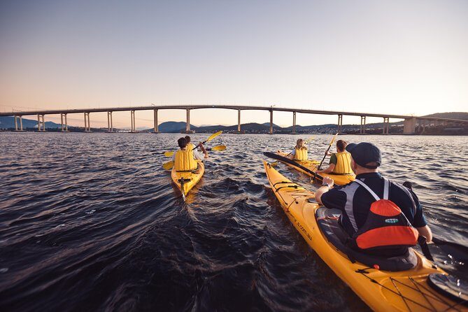Hobart Kayak Tour - Who Should Consider This Tour?