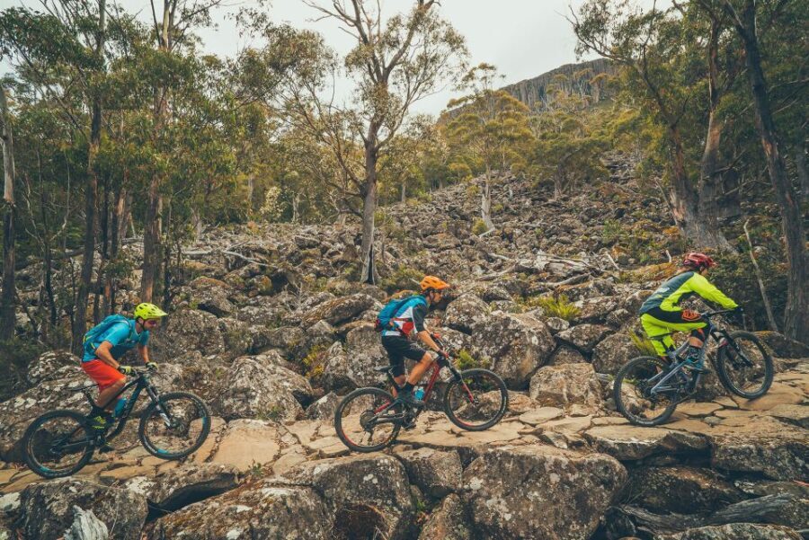 Hobart: kunanyi/Mt Wellington Explorer Bus Pass - The Overall Value