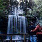 Hobart: Mt Field National Park & Wildlife Shore Excursion - Wildlife and Sanctuary Visits