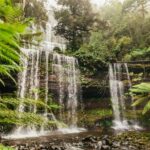 Hobart: Mt Wellington, Mt Field, Bonorong and Richmond Trip - What to Expect: Every Detail