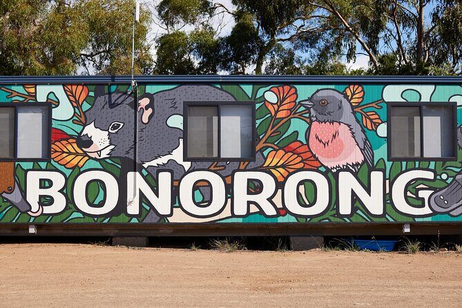Hobart Shore Excursion: Bonorong Bus - The Value of This Tour