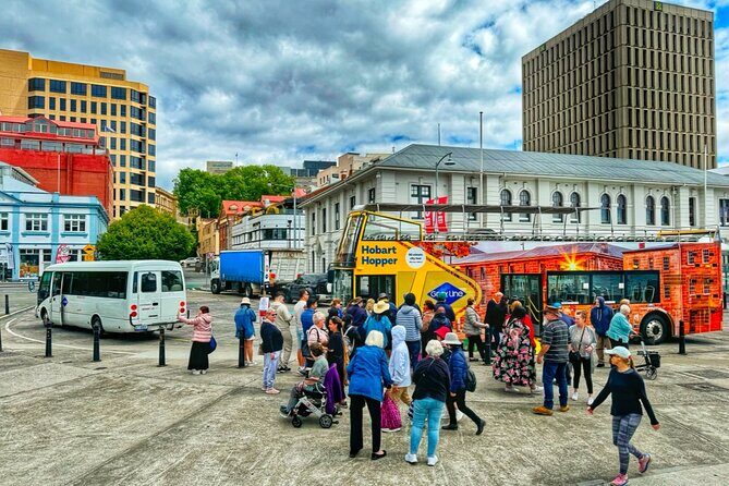 Hobart Shore Excursion-Open Top City Explorer Tour 1.30pm - The Sum Up