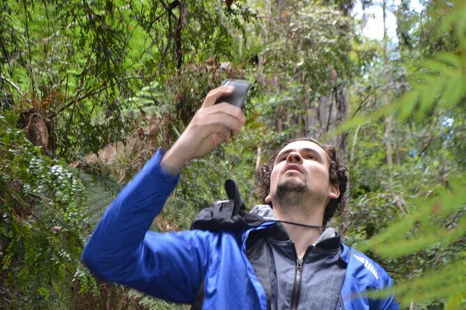 Hobart Shore Excursion Private Tour - Transportation and Timing