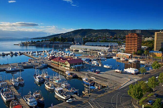 Hobart Shore Excursion: Small Group Mount Wellington 3-Hour Bike Tour - The Itinerary: What to Expect
