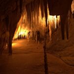 Hobart: Tahune Airwalk & Hastings Caves - Active Day Tour - Authenticity and Participant Feedback
