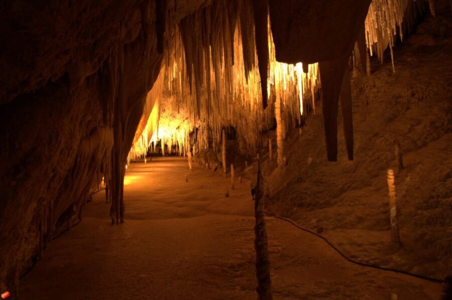 Hobart: Tahune Airwalk & Hastings Caves - Active Day Tour - Authenticity and Participant Feedback