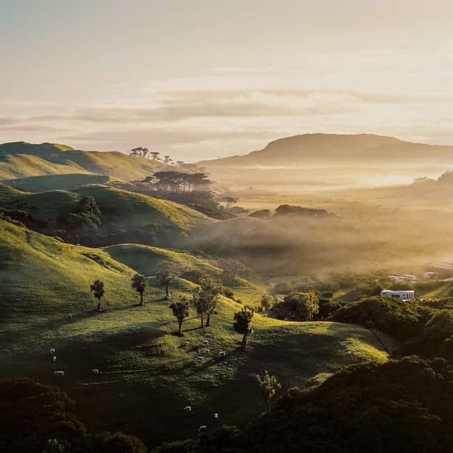 Hobbiton and Waiotapu Thermal Wonderland : PRIVATE TOUR - Why Choose This Tour?
