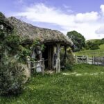 Hobbiton Movie Set and Waitomo Caves Exclusive (1-6 traveler) - Who Is This Tour Best For?