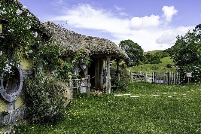 Hobbiton Movie Set and Waitomo Caves Exclusive (1-6 traveler) - Who Is This Tour Best For?