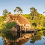 Hobbiton Movie Set and Waitomo Glow Worm Caves Tours Private SUV - Why This Tour Offers Great Value
