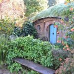 Hobbiton Movie Set Group Tour Early Access (Avoid the crowds!) - Why Choose This Hobbiton Tour?