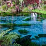Hobbiton Movie Set tour & Glowworm Cave day tour - What’s Included and What’s Not