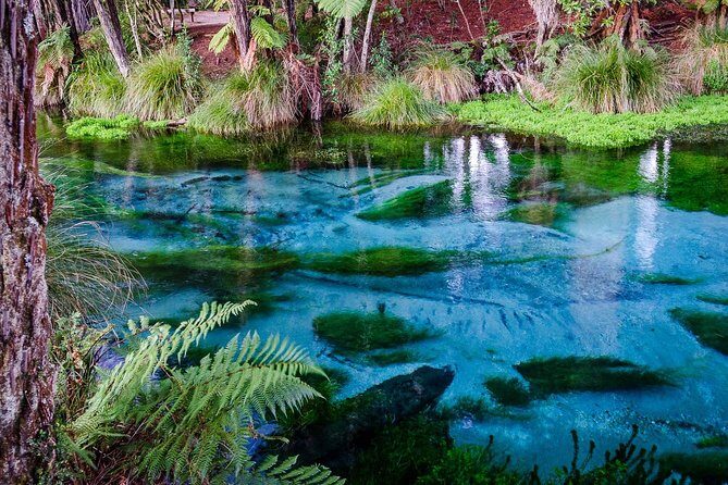 Hobbiton Movie Set tour & Glowworm Cave day tour - What’s Included and What’s Not