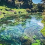 Hobbiton Movie Set Tour to Blue Springs and Waitomo caves - Frequently Asked Questions