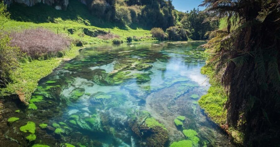 Hobbiton Movie Set Tour to Blue Springs and Waitomo caves - Frequently Asked Questions