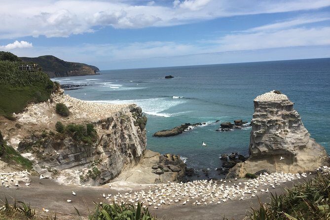 Hobbiton & Waitomo Caves Exclusive Luxury Day Tour From Auckland - What’s Included and What to Keep in Mind