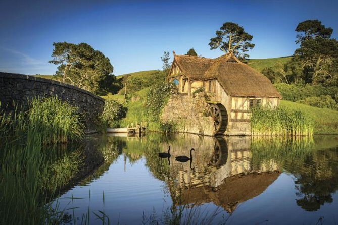 Hobbiton & Waitomo Caves Guided Day Trip from Auckland incl lunch - Exploring Hobbiton: Middle-earth Comes Alive