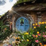 Hobbiton & Waitomo Caves Small Group Tour from Auckland inc Lunch - Practical Considerations and Value