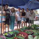 Hoi An: Biking- Basket Boat - Farming &Cooking Class Tra Que - The Value and Practicalities