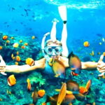 Hoi An: Cham Island Snorkeling Adventure & Seafood Lunch - What’s Included and What to Consider