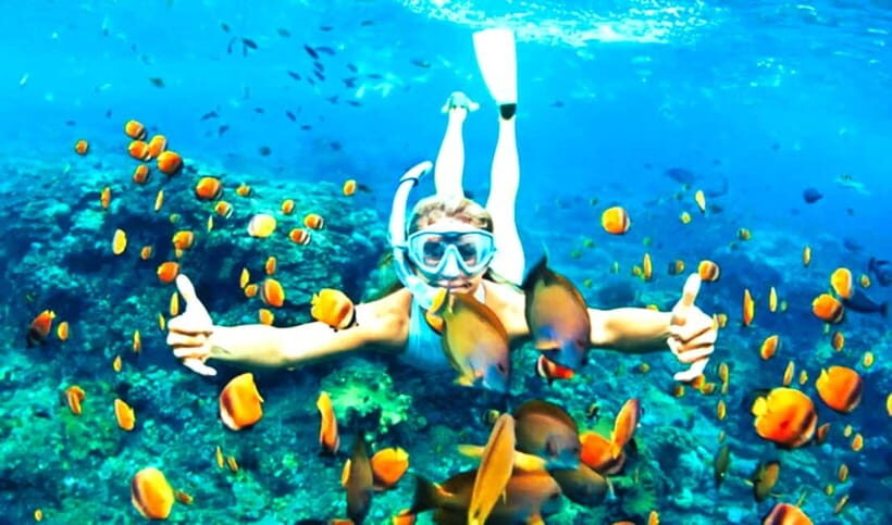 Hoi An: Cham Island Snorkeling Adventure & Seafood Lunch - What’s Included and What to Consider