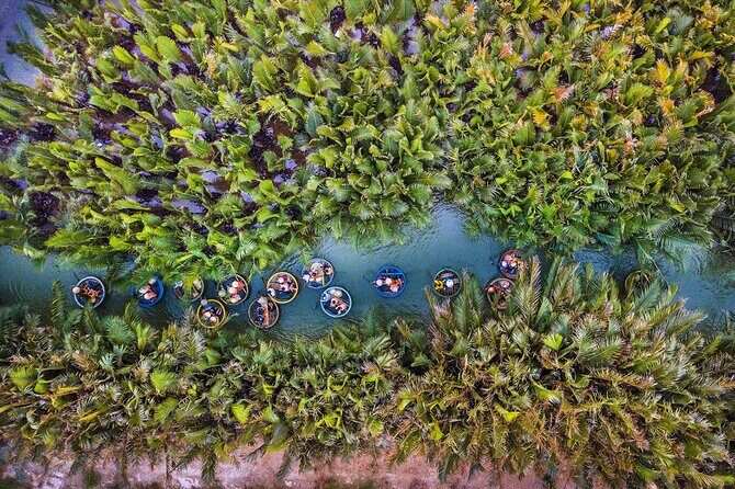 Hoi An City Day Tours - Practical Aspects and What You Get for Your Money