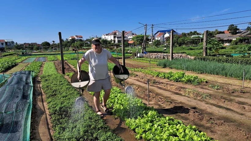 Hoi An Cycling, Water buffalo riding,Farming and Fishing - What Makes This Tour Stand Out