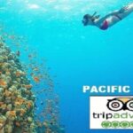 Hoi An/Da Nang: Snorkelling & Island-Hopping Speedboat Tour - Whats Included and What Not