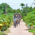 Hoi An: Lantern Making and Farming Experience Biking - What’s Included and What to Know