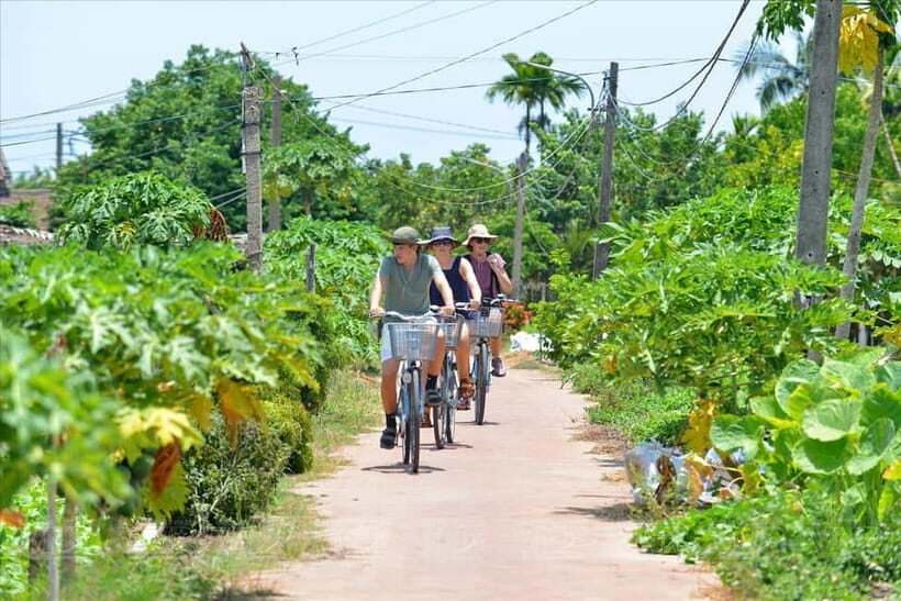 Hoi An: Lantern Making and Farming Experience Biking - What’s Included and What to Know
