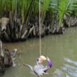 Hoi An: Market Experience with Optional Fishing and Cooking - The Realities of the Tour: What Travelers Say