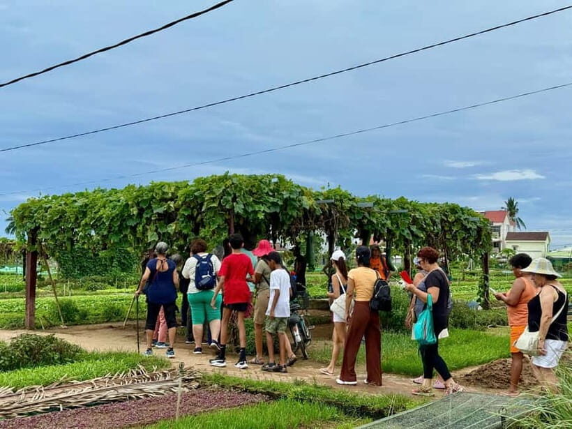 Hoi An: Trà Qu Village Cafe Tour with Local Guided - The Journey to Trà Qu: What to Expect