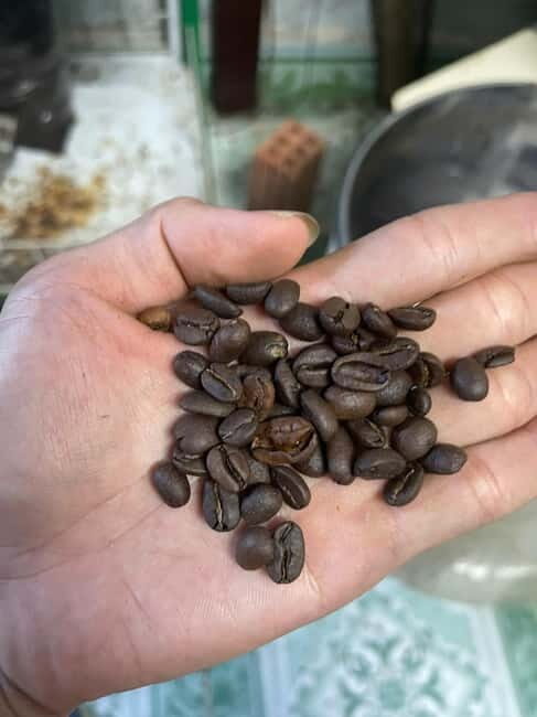 Hoi An:Coffee Making Class (Coffee: egg, Salt, Coconut, ...) - What to Expect on Your Coffee Making Journey