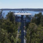 Hokitika: West Coast Tree Top Tower Zip Line and Walk - A Detailed Look at the Hokitika Tree Top Experience
