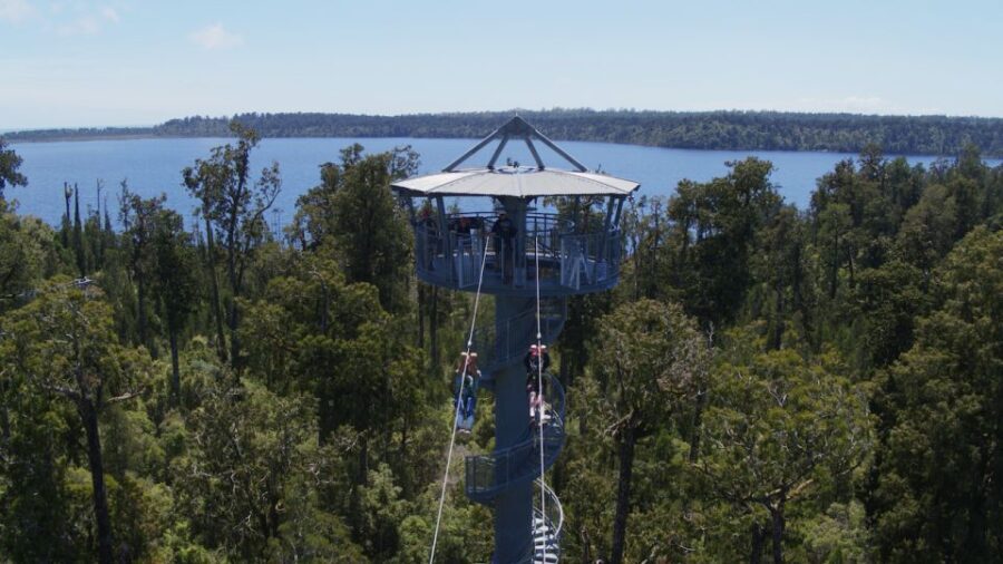 Hokitika: West Coast Tree Top Tower Zip Line and Walk - A Detailed Look at the Hokitika Tree Top Experience