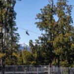 Hokitika: West Coast Treetop Walkway Entrance Ticket - Key Points