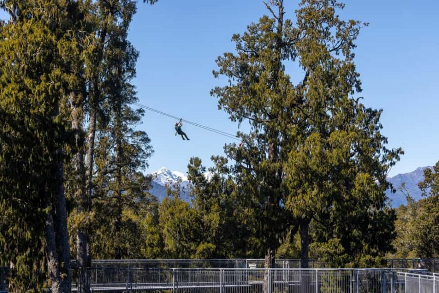 Hokitika: West Coast Treetop Walkway Entrance Ticket - Key Points